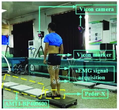 Data Collection Platform Download Scientific Diagram