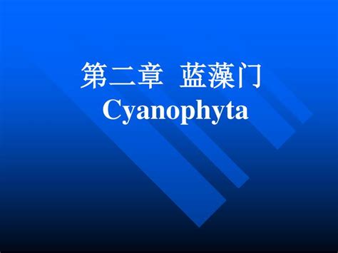 Ppt 第二章 蓝藻门 Cyanophyta Powerpoint Presentation Free Download Id