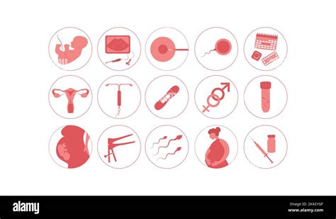 Woman Fertility Icon Set Obstetrics Signs Collection Pregnancy