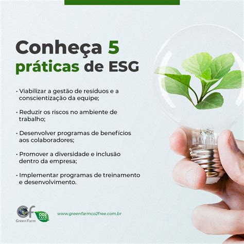 Conheça 5 Práticas De Esg Green Farm