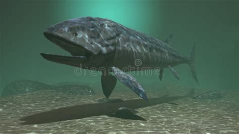 Leedsichthys Middle Jurassic Stock Illustration Illustration Of