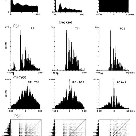 Cortical Stimulation Enhances Synchronization Of Spindle Oscillations