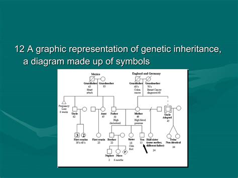 B23 Ppt Patterns Of Heredity And Human Genetics Ppt