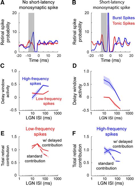Cardinal Burst Spikes Can Be Triggered By Delayed Retinal Contribution