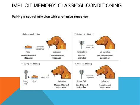 ppt cognitive level of analysis powerpoint presentation free