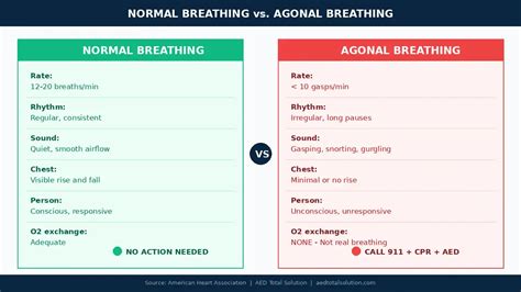 Agonal Breathing What It Is And How To Respond Aed Guide