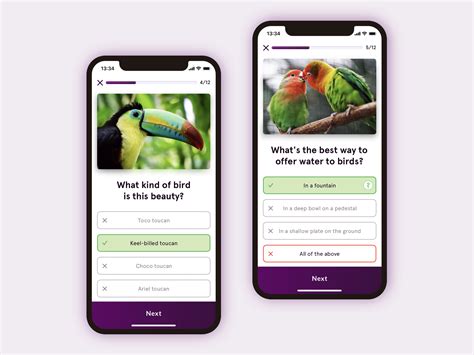 Quiz App Weekly UI UX By Eva Dufey On Dribbble