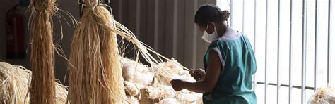 Economic Impact Made For A Woman