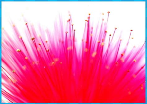 목걸이 꿈 다이아몬드 목걸이를 하는꿈