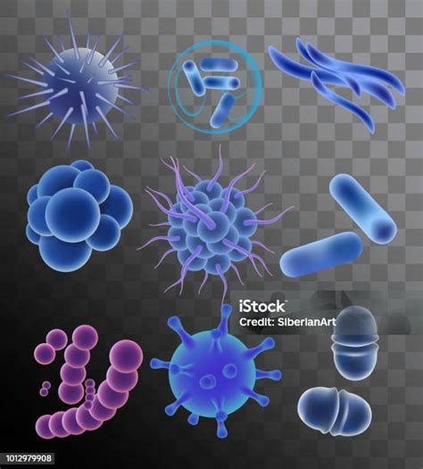 벡터 현실적인 블루 바이러스 박테리아 미생물 3차원 형태에 대한 스톡 벡터 아트 및 기타 이미지 3차원 형태 바이러스 투명 배경 Istock