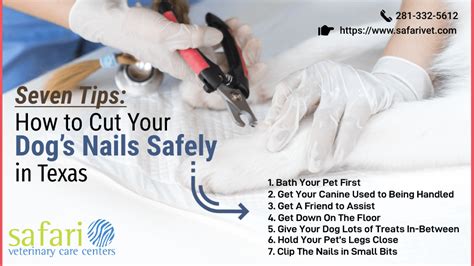 Seven Tips How To Cut Your Dogs Nails Safely In Texas Safari