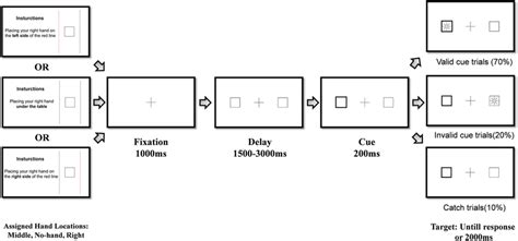 A Graphic Depiction Of The Attentional Cueing Paradigm Used In The