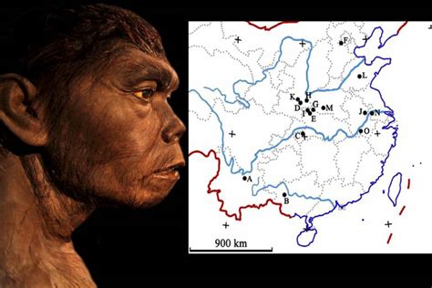 Biostratigraphic Dating Could Help To More Accurately Date The Homo