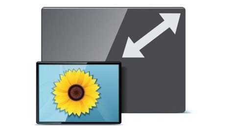 Best Tools To Resize Multiple Photos On Windows Trionds