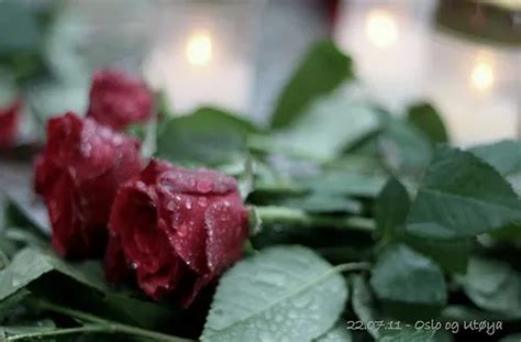 Image Recognition Using Tensorflow Geeksforgeeks