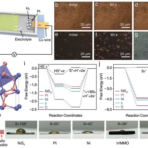 Characterization Of Interfacial Interactions Between Sulfur Species And