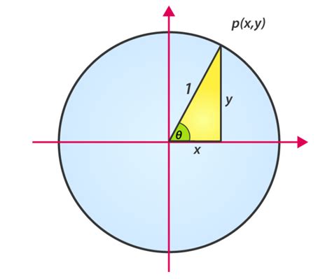 Trigonometry For Class Trigonometric Functions And Formulas