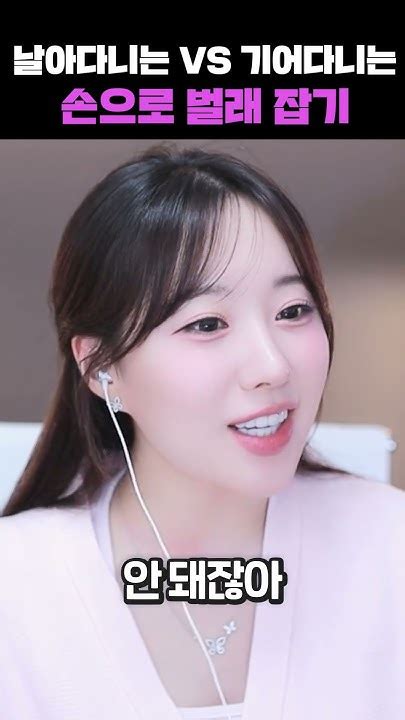 기어다니는 벌레 Vs 날아다니는 벌레 Youtube
