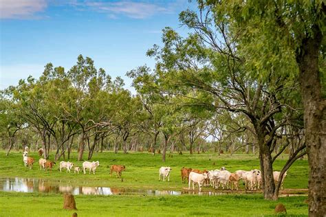 our value proposition for natural resource management in queensland