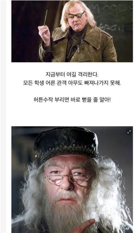 해리포터 무디의 대처법 누가봐도 완벽한 무디군 해리포터 웃긴 밈 웃긴