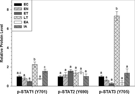 Multiplex Analysis Of Stat Phosphorylation Levels In Ground Squirrel