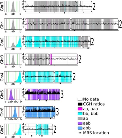 Visualization Of Snpcgh Array Data Data For Each Strain Analyzed By