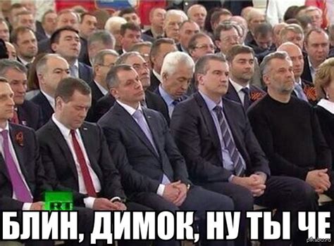 Спящий мишка | Пикабу