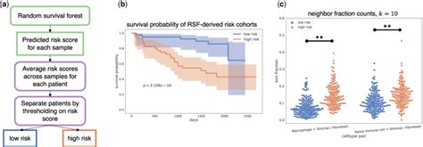 Immune Cell Fibroblast Interactions Are Enriched In Tumors Of Download Scientific Diagram