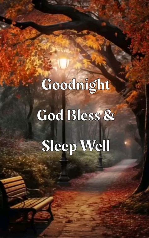 Pin By 𝓘𝓽 𝓼 𝓪𝓵𝓵 𝓪𝓫𝓸𝓾𝓉 On ᎶᎧᎧᎴ ᏁᎥᎶᏂᏖ 🪔 In 2024 Good Night Blessings