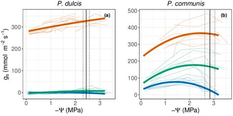 Relationships Between Stomatal Conductance And Maximum Flux And Download Scientific Diagram