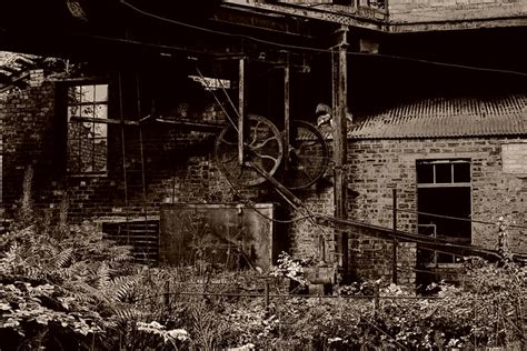 Sally Schofield Flickr