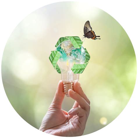 Introducción A La Gestión Ambiental Grupo Fyrescan