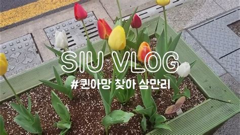 [vlog] 퀸아망 찾아 삼만리 Youtube