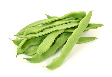 Fagioli Verdi Immagine Stock Immagine Di Vegetariano 8374191