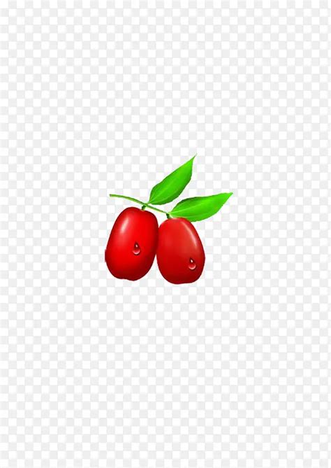 Png Qwgnpddr