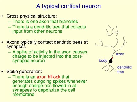 PPT CSC321 Introduction To Neural Networks And Machine Learning