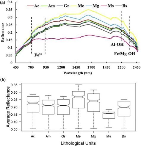 Bedinis Newest Schematic Diagram Board