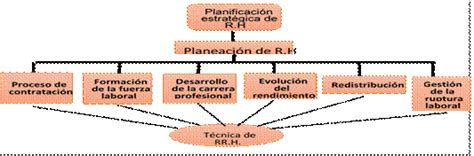 Fuente La Investigadora2021