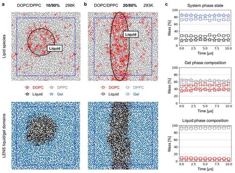 Characterization Of The Phase Separation In Dopc Dppc Mixtures With