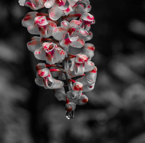 Kalja Unessa Unien Tulkinta