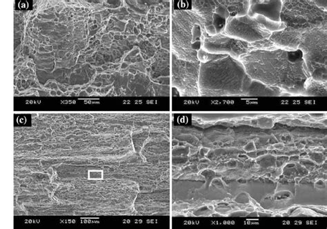 Scanning Electron Micrographs Of The Fractured Surfaces Of Impact Test Download Scientific