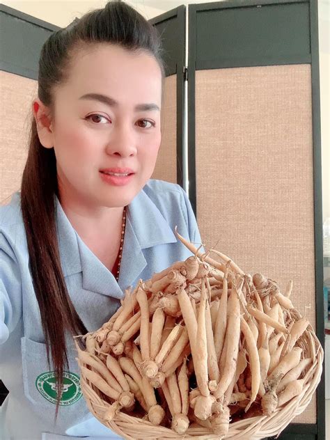 กระชาย ภาษาอังกฤษใช้คำว่า สมุนไพรรอบตัวเภสัชกรรมไทย Facebook