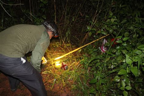 ឈាមស្រែកស្បែកហៅ