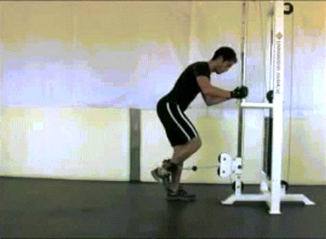 Rutina de ejercicios para novatos II Día 1 4 Musculación Perfecta