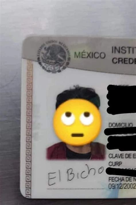Las Firmas Del Ine Más Graciosas Y Virales Del Internet Fotos Infobae