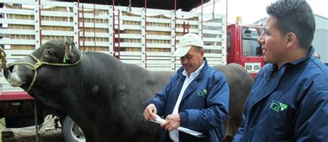 Instituto Colombiano Agropecuario Ica