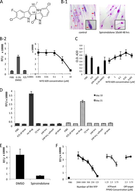 Effects Of Spiroindolone And Ppmo Directed Against Atpase4 In