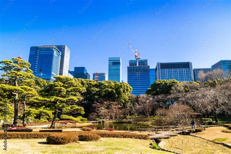 Stock Photo Adobe Stock
