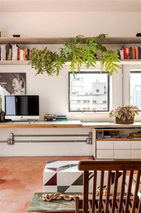 Cómo usar el helecho en la decoración y cómo cuidarlo