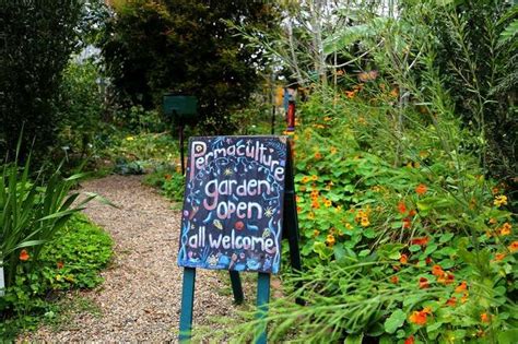 Permaculture Northern Beaches